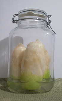 Dongchimi (동치미) - Joseon Radish Kimchi Recipe - Everybunny Eats